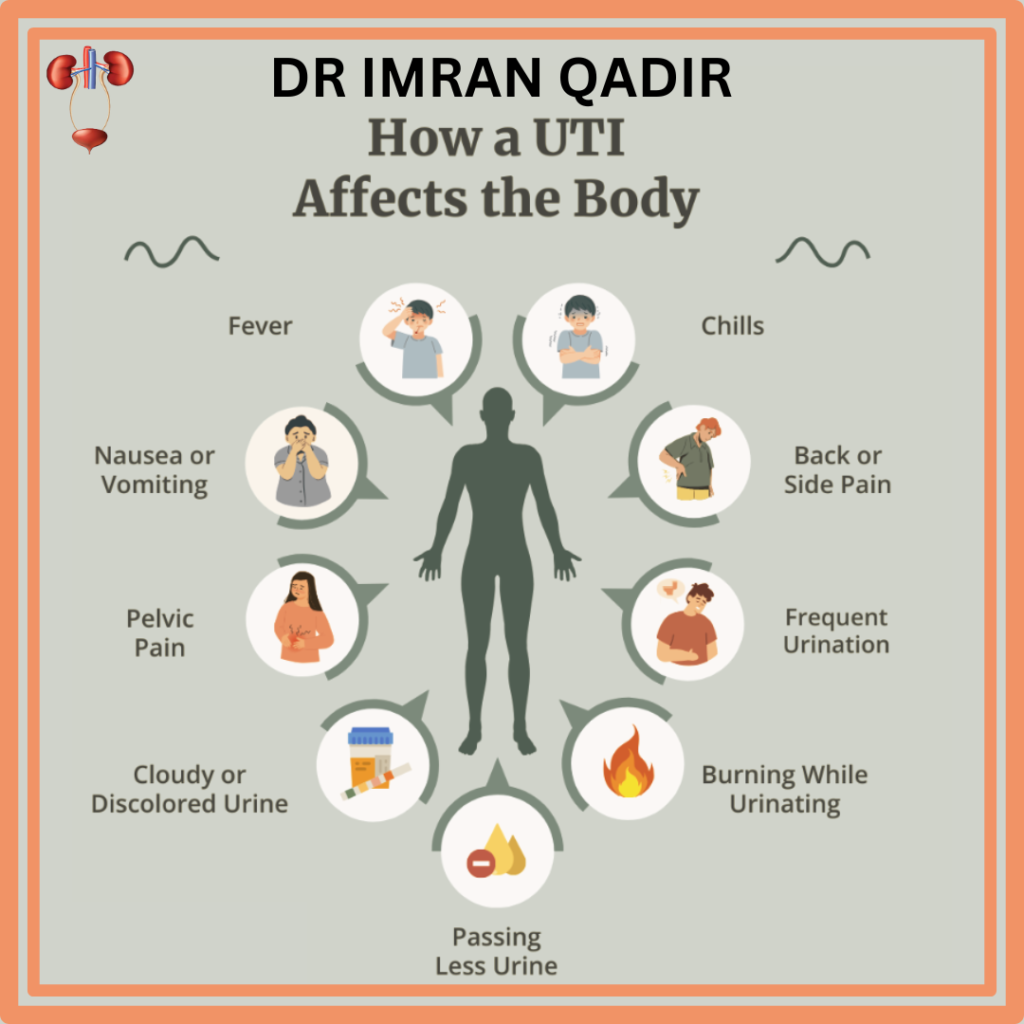 Common issues related to the female urinary tract - Qadir Medical Complex